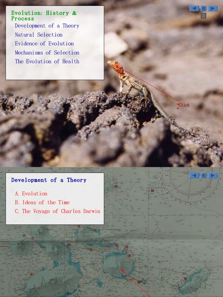 Development of A Theory Natural Selection Evidence of Evolution ...