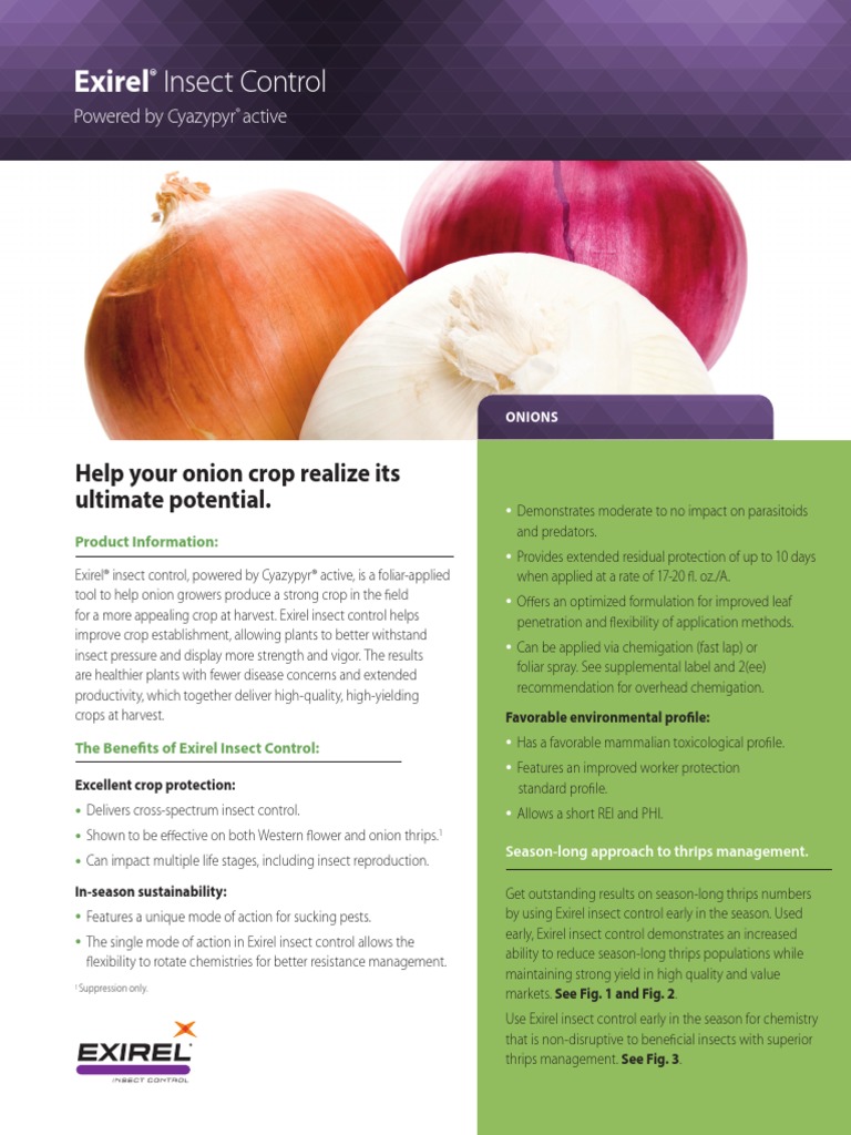 Exirel Insect Control: Help Your Onion Crop Realize Its Ultimate ...