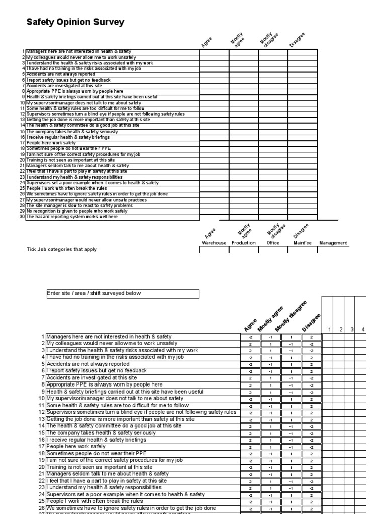 Safetyopinionsurvey Safety | PDF | Safety | Personal Protective Equipment