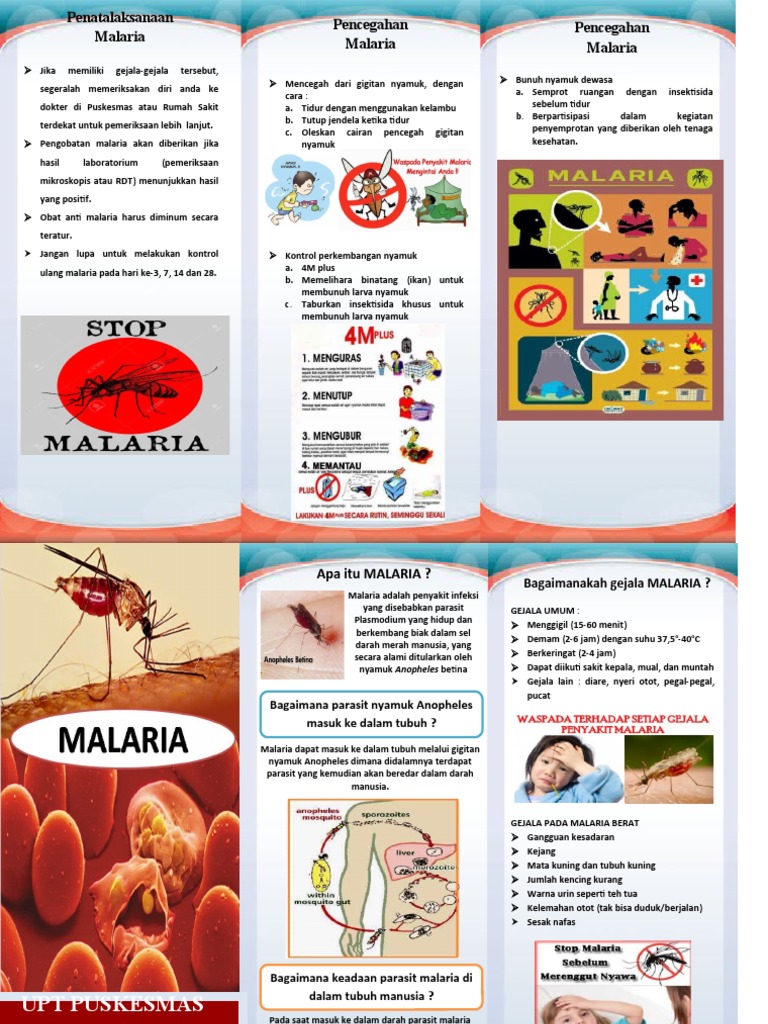 Leaflet Malaria 2020 | PDF