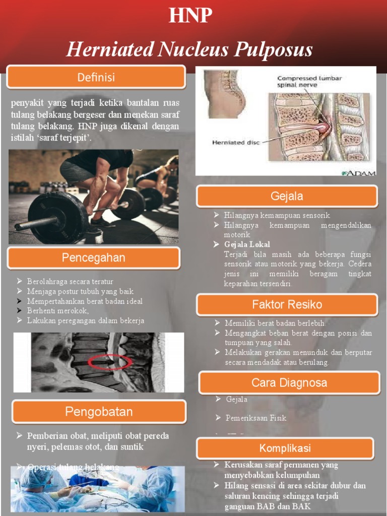 Flyer HNP | PDF
