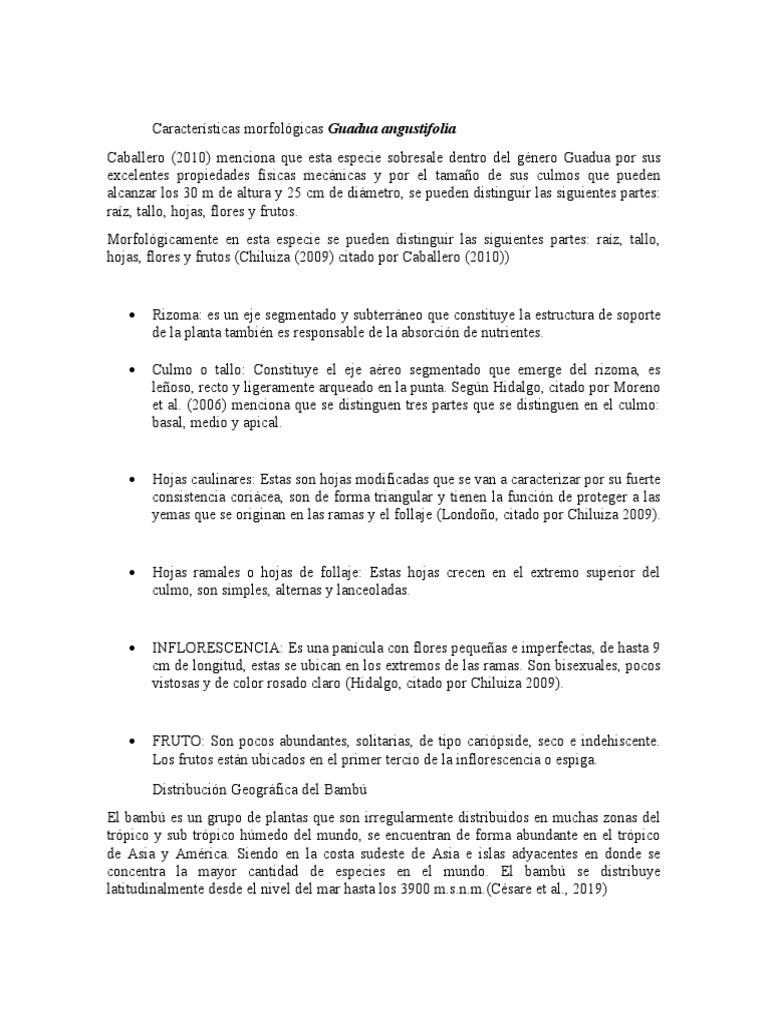 Usos y Beneficios de Bambu | PDF | Tallo de la planta | Hoja