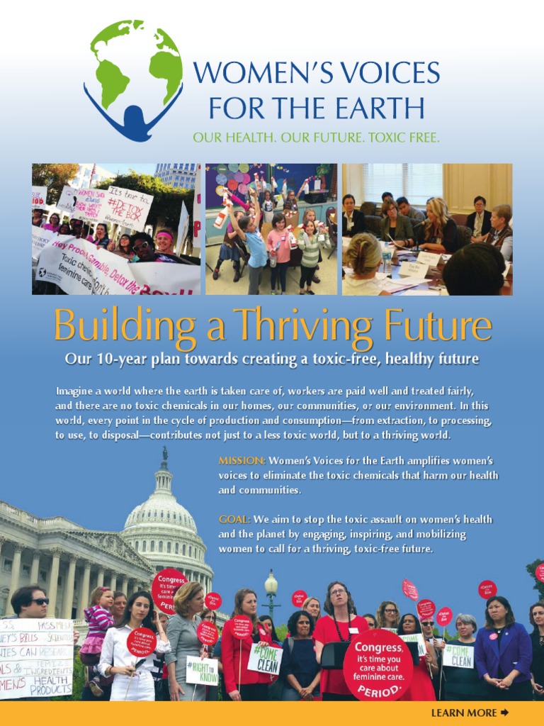 Building A Thriving Future: Our 10-Year Plan Towards Creating A Toxic ...