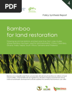 Activity Sheet Where Do Plants Live | PDF | Plants | Habitat