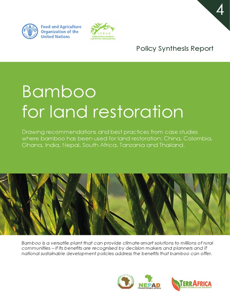 Bamboo For Land Restoration | PDF | Restoration Ecology | Food And ...