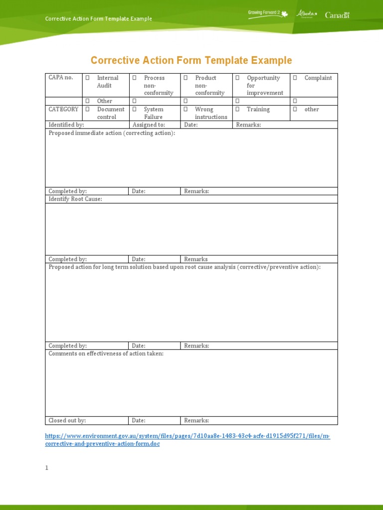 M3 Corrective Action Form Template | PDF