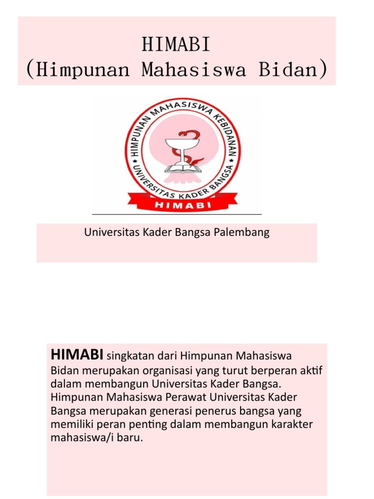 Struktur dan Visi HIMABI 2020 | PDF