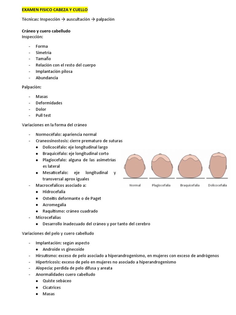 Examen Fisico Cabeza y Cuello | PDF | Ojo humano | Cabeza y cuello humanos