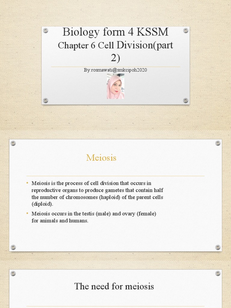 Biology Form 4 KSSM: Chapter 6 Cell | Download Free PDF | Meiosis ...