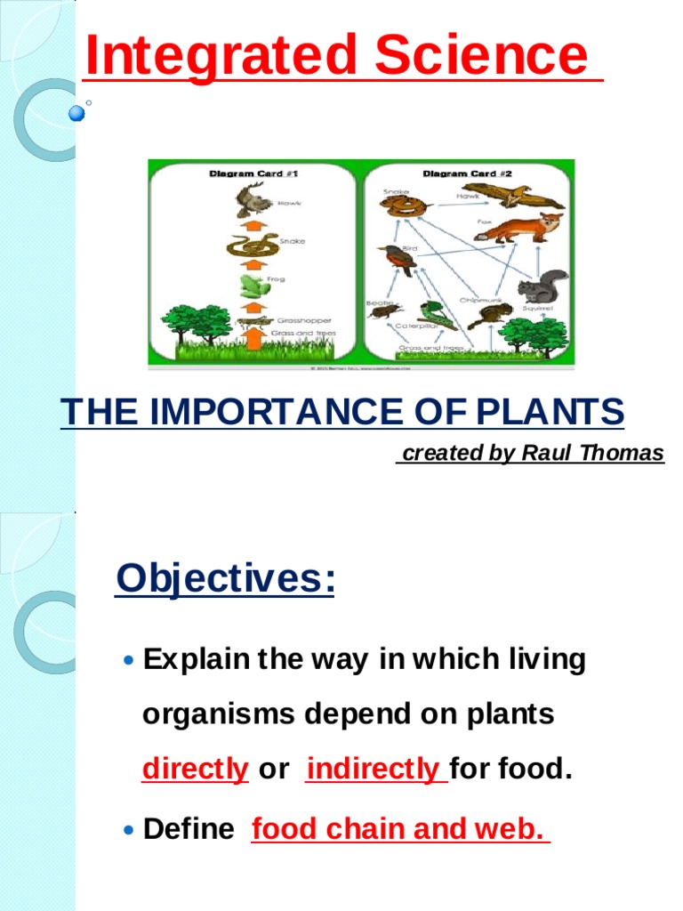 Food Chain and Web Presentation PDF | PDF | Food Web | Ecosystem