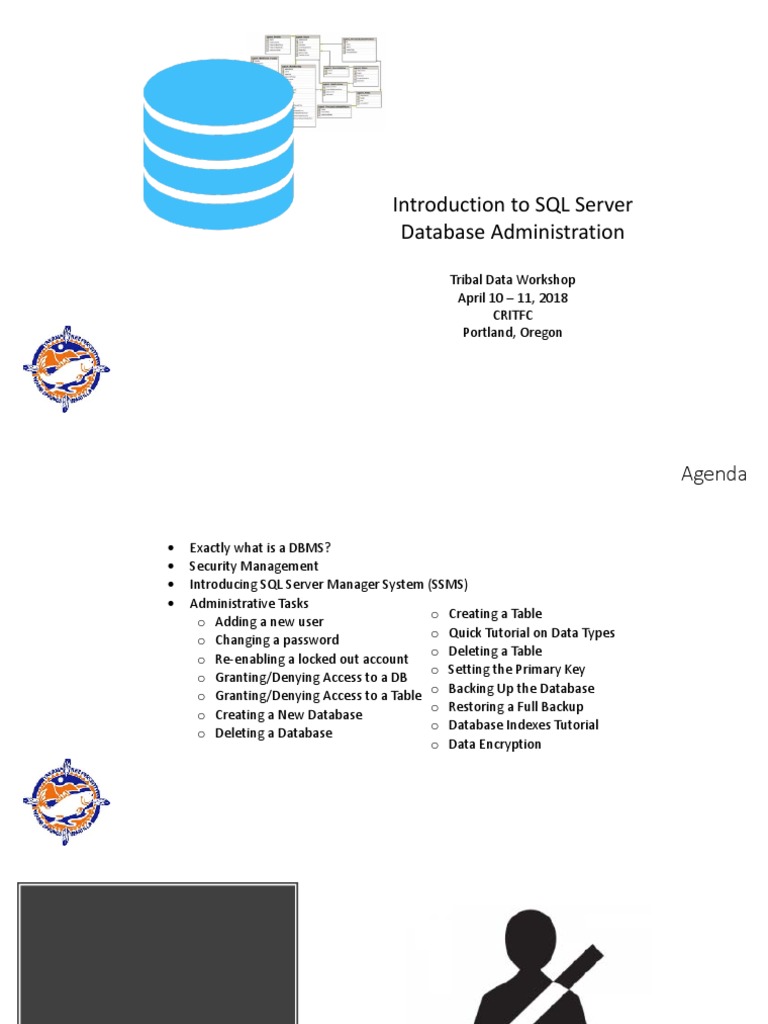Introduction to SQL Server Database Administration | PDF | Database ...