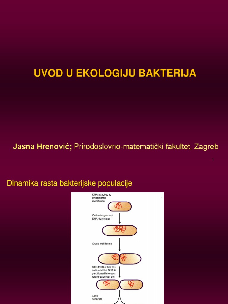 Predavanje 1 04 | PDF