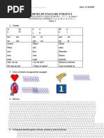 CLR Evaluare Sumativa Modulul I | PDF