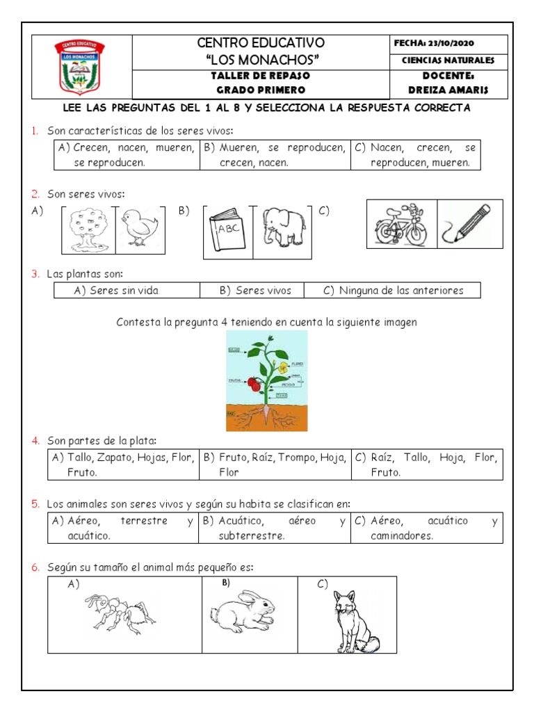Taller de Ciencias Naturales 1° Grado | PDF | Estudios de idiomas ...