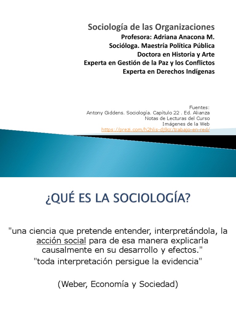 Enfoques Sociológicos Grupos y Organizaciones PDF | PDF | Sociología ...
