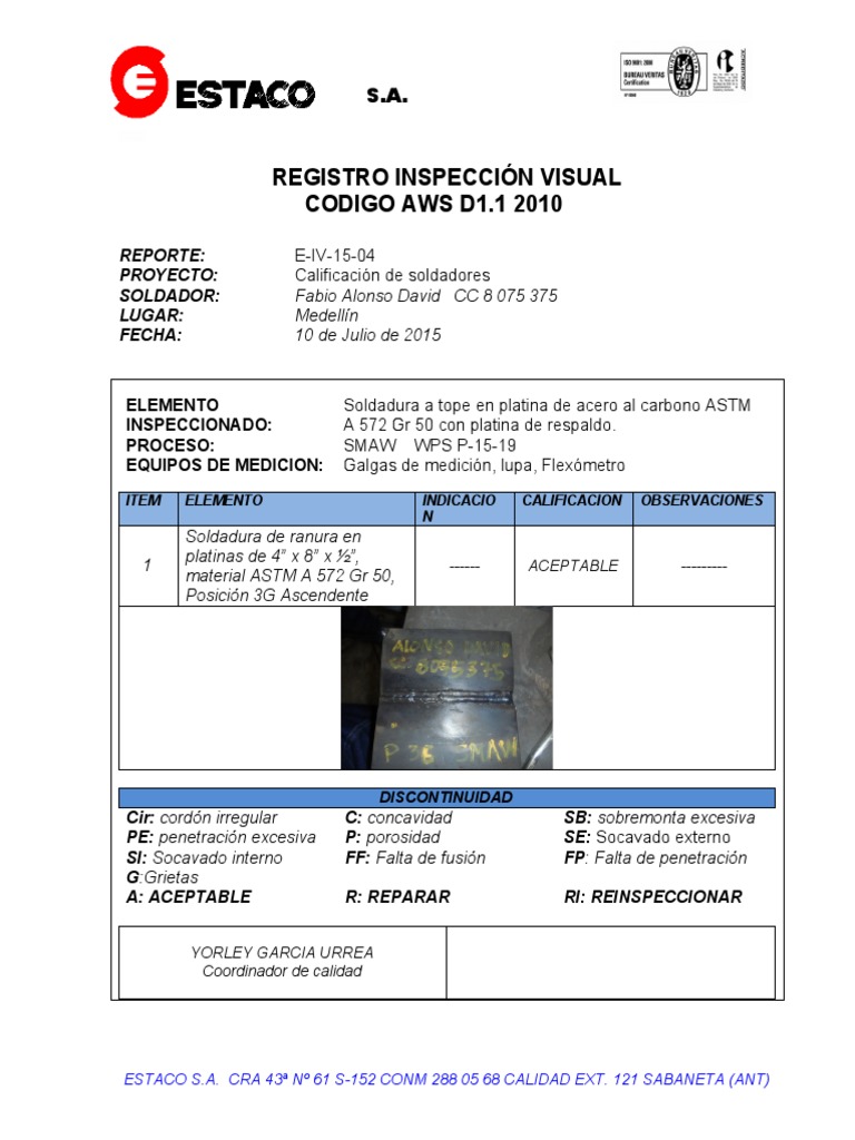 Formato de Inspeccion Visual | PDF