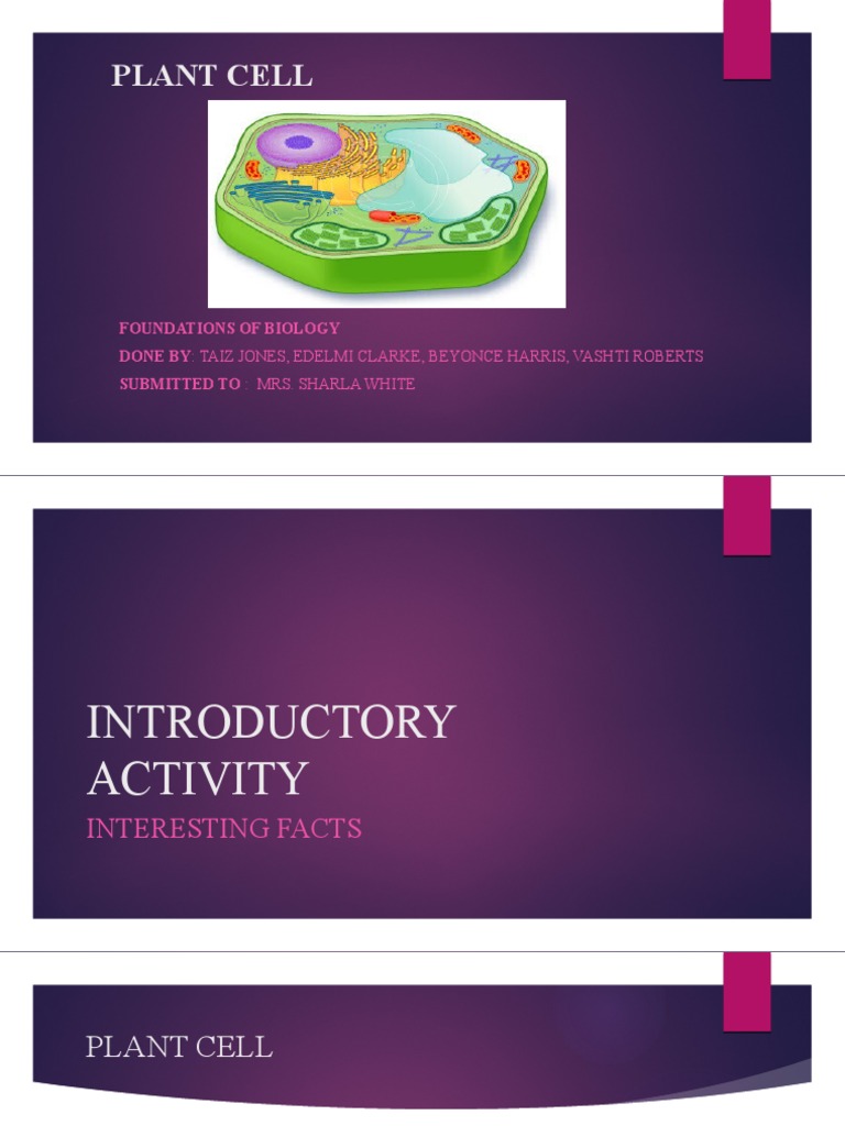 Plant Cell Power Point | PDF