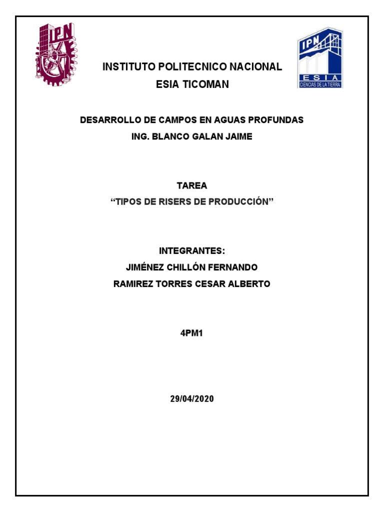 Tipos de Riser de Produccion D.C.A.P. T4 | PDF | Tubería (transporte de ...