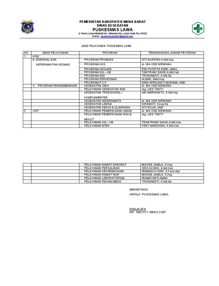 Jenis Pelayanan Di Puskesmas Lawa | PDF