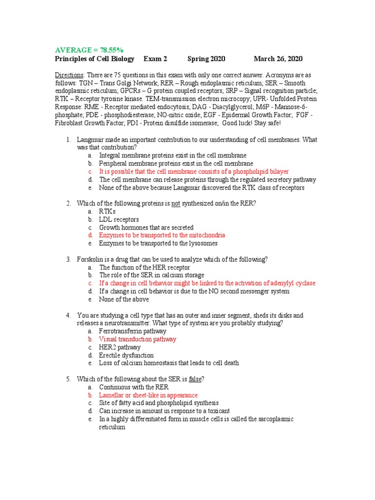 Cell Biology Exam 2 Overview | PDF | Protein Targeting | Endoplasmic ...