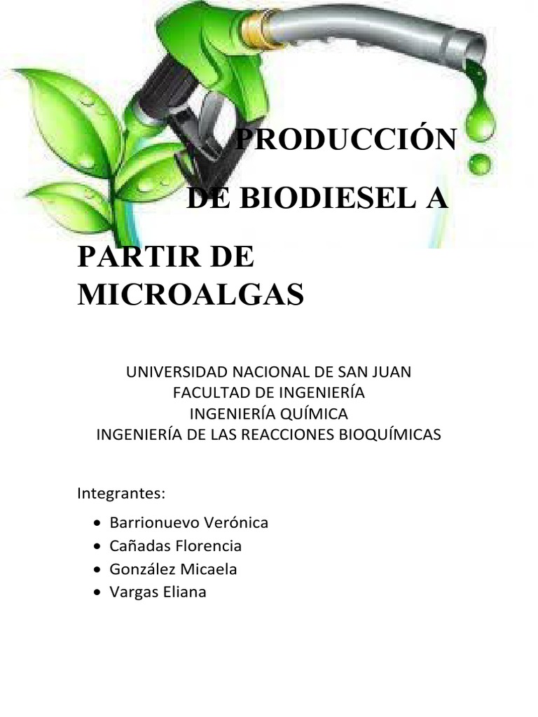 Biodiesel A Partir de Microalgas - Irb | PDF | Biodiésel | Biocombustible