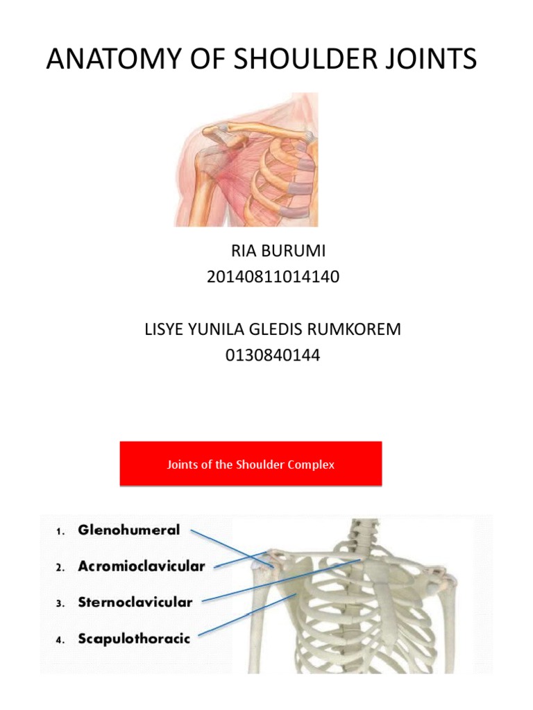 Anatomy of Shoulder Joints | PDF