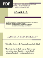 Instructivo Llenado Formato RAIS IMSS | PDF | Dietético | Medicina Familiar
