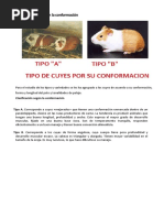 Anatomía y Huesos del Cuy | PDF | Vértebra | Cráneo