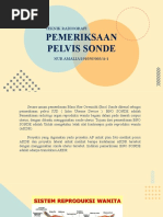 Teknik Radiografi Bno Sonde (Pelvis Sonde) | PDF