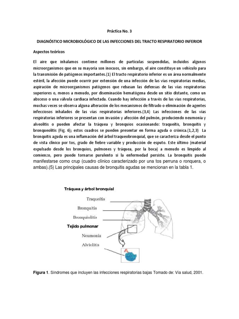 PR Ctica 3 Tracto Respiratorio Inferior | PDF | Neumonía | Tos