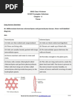 ANSCI2 (Common Terminologies in Animal Science) | PDF | Sheep | Mare