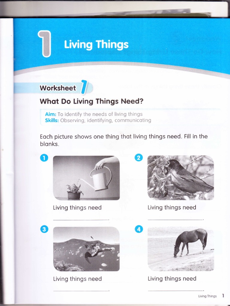 Whot Do Living Things Need?: Worksheet | PDF | Nature
