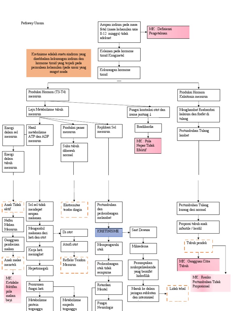 Pathway Umum Kretinisme | PDF