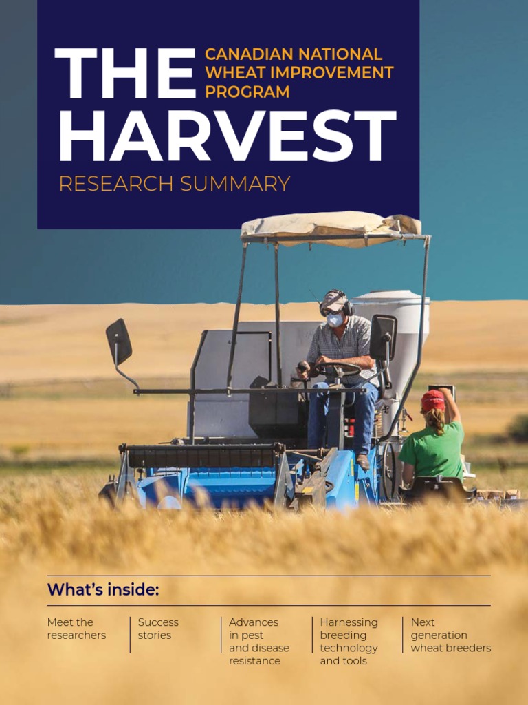 THE Harvest: Research Summary | PDF | Wheat | Plant Breeding