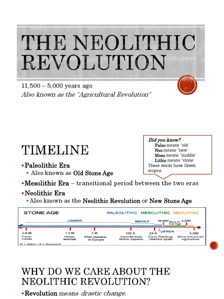 From Hunter-Gatherers to Farmers: How the Neolithic Revolution Changed ...