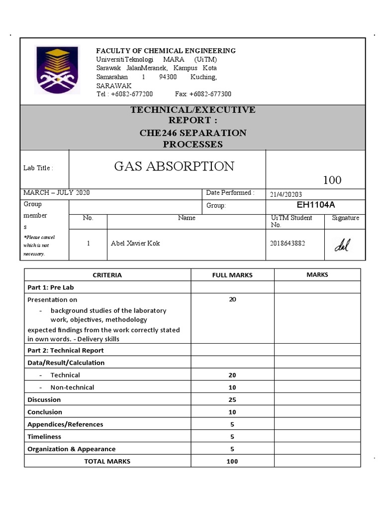 Gas Absorption Report Pdf Experiment Water