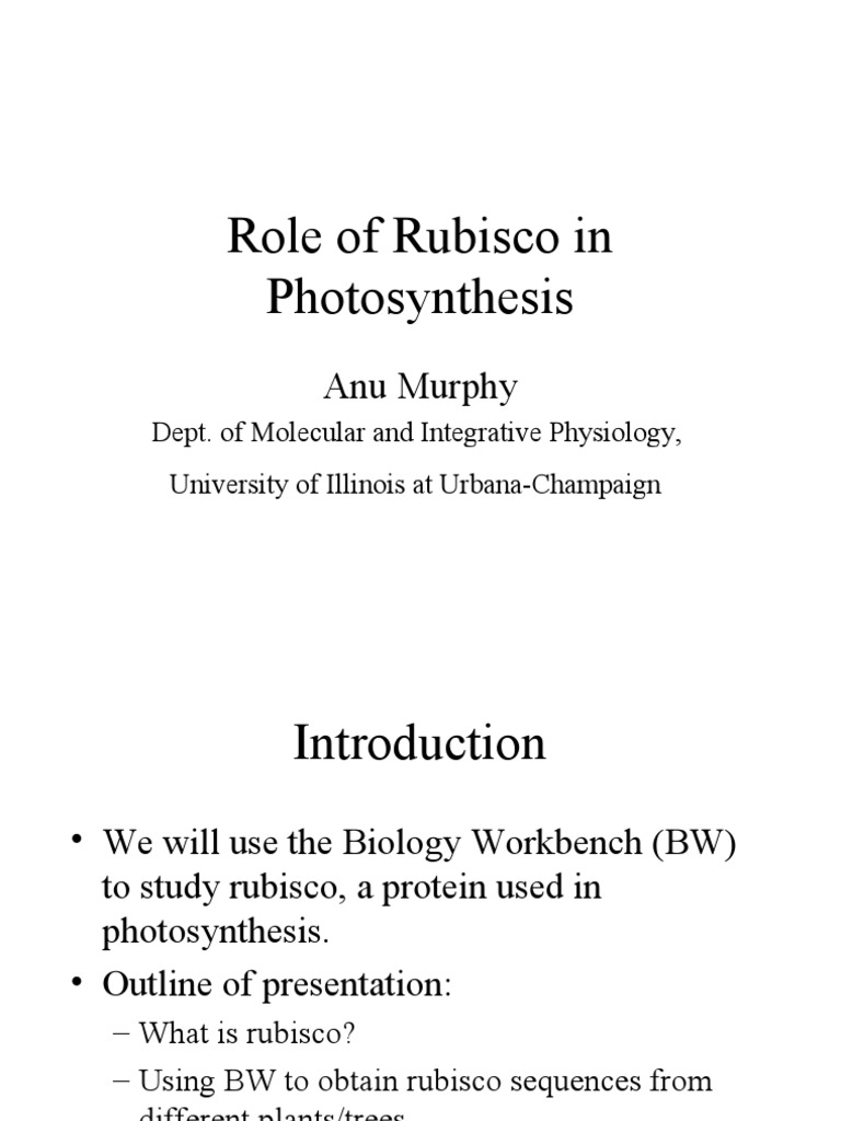 Rubisco's Role in Photosynthesis Analysis | PDF | Photosynthesis ...