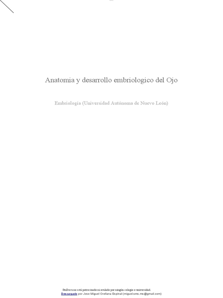 Anatomia y Desarrollo Embriologico Del Ojo | PDF | Ojo humano | Catarata