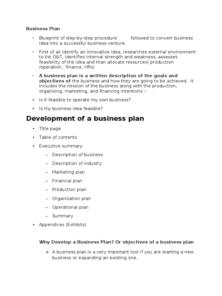 Development of A Business Plan | PDF | Market Analysis | Business Plan