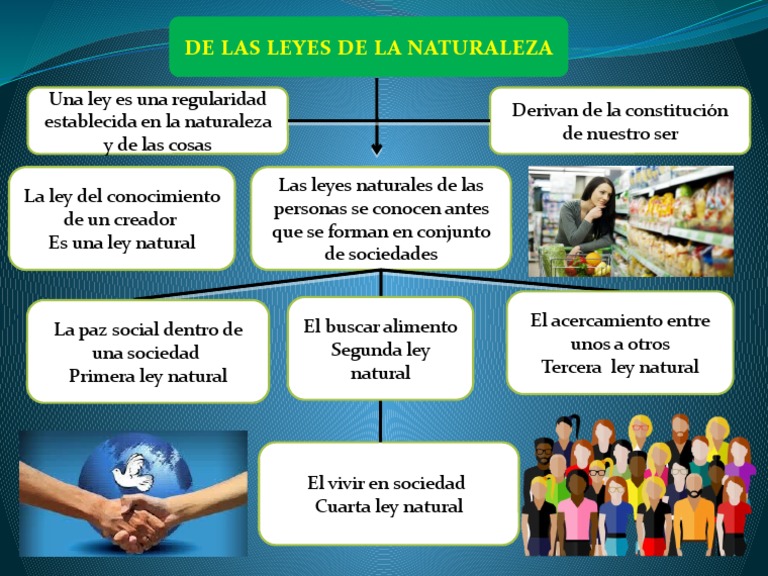 Ley Natural | PDF