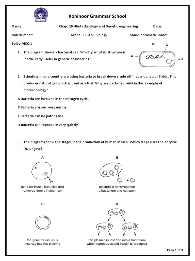 Chap 20. Assignment | PDF | Genetic Engineering | Bacteria