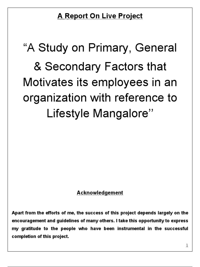 Motivation Survey Report | PDF | Motivation | Motivational