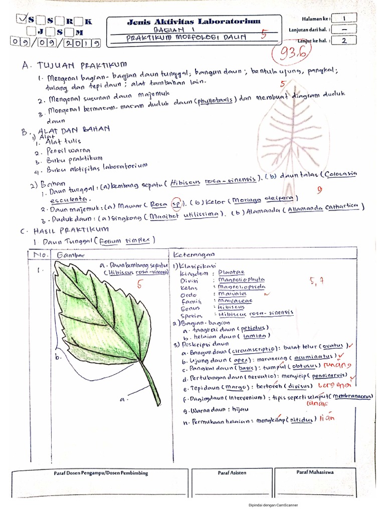 Buku Aktivitas Laboratorium Botani Farmasi PDF | PDF