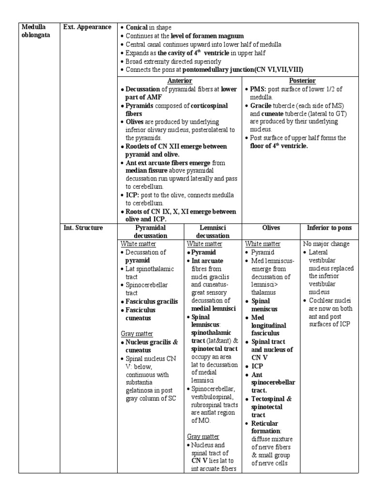 Brainstem Simplified Notes | PDF | Brainstem | Cerebellum