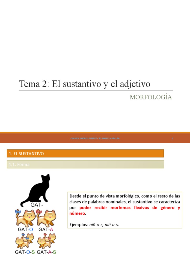 El Sustantivo y El Adjetivo | PDF | Género gramatical | Adjetivo