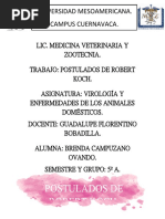 ? Cadena Epidemiológica de La Tuberculosis | PDF | Tuberculosis ...