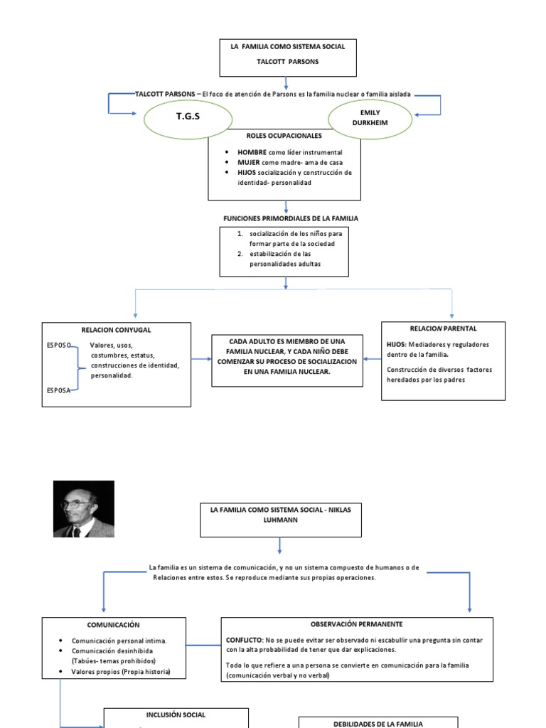Mapa Conceptual Parson y Luhmann | PDF | Familia | Socialización