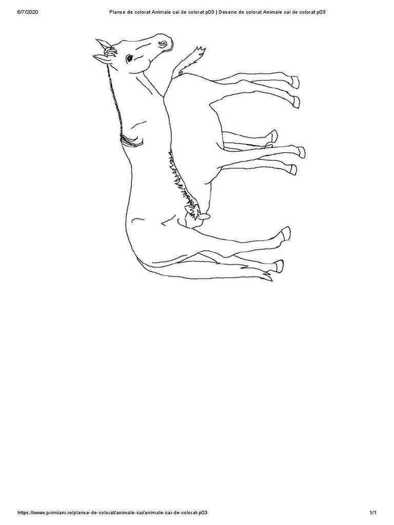 Planse de Colorat Animale Cai de Colorat p03 - Desene de Colorat ...