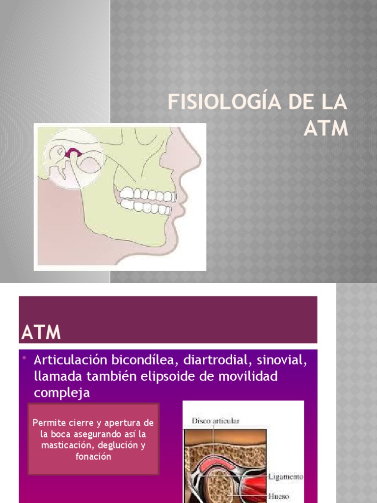 Fisiología de La Atm | PDF | Articulación | Anatomia animal