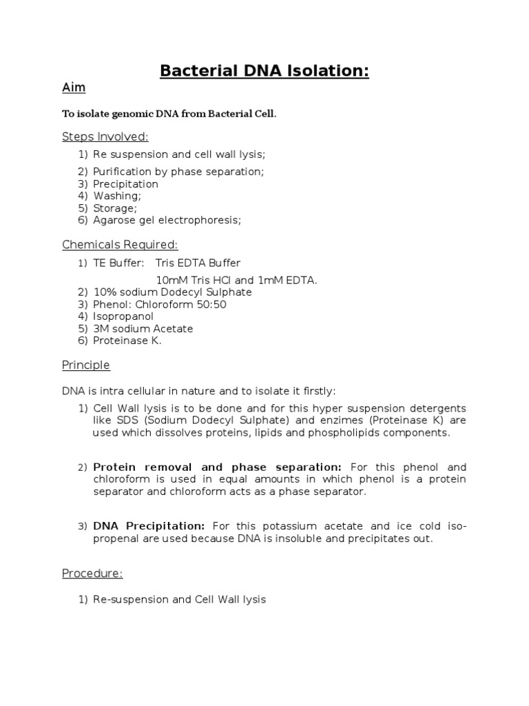 Bacterial DNA Isolation | Download Free PDF | Gel Electrophoresis ...